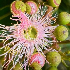 Remember September - Jenny Russo